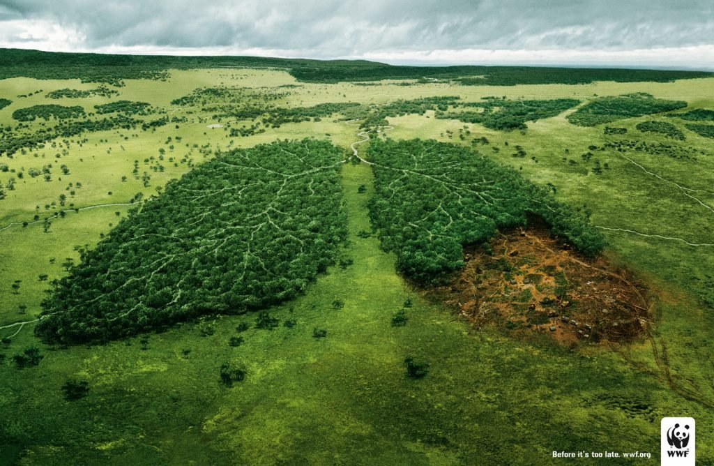 Powerful Environmental Messages From 11 Ad Campaigns | adaddictive.com